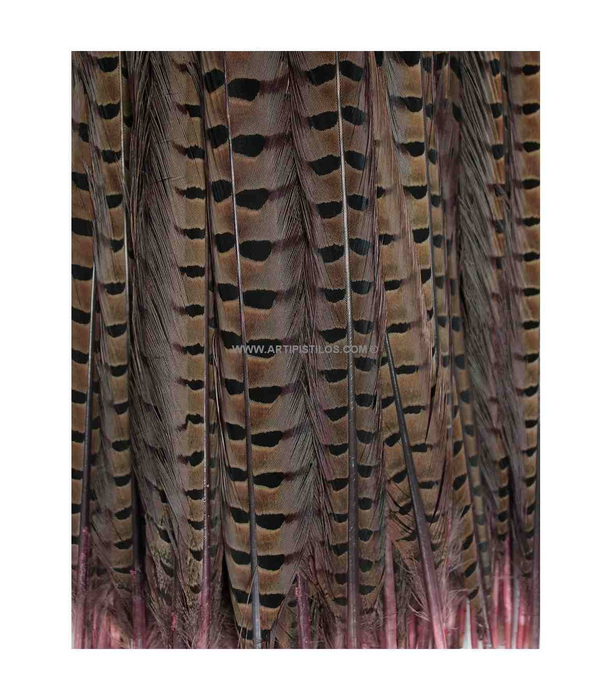 PLUMA DE FAISAN RINGNECK 61/66 CMS. - Plumas De Faisán - Materiales ...
