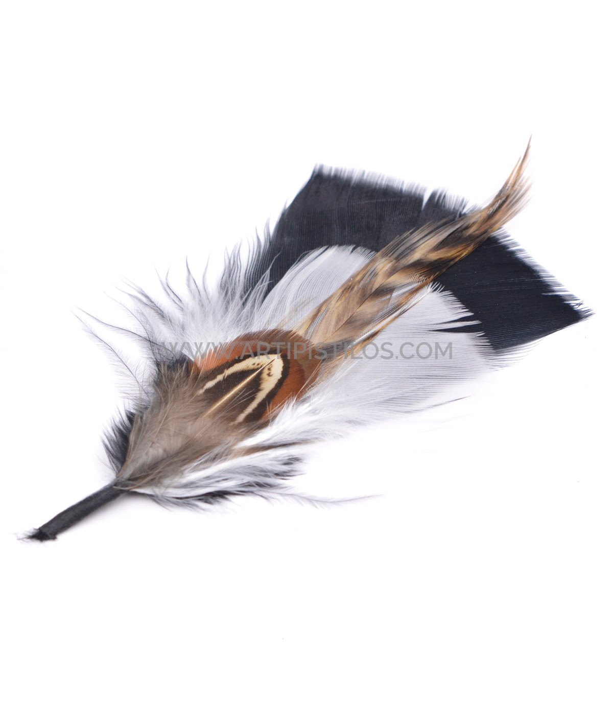 Feather ornament for hat - 11 models - Feather Ornaments - Materials ...