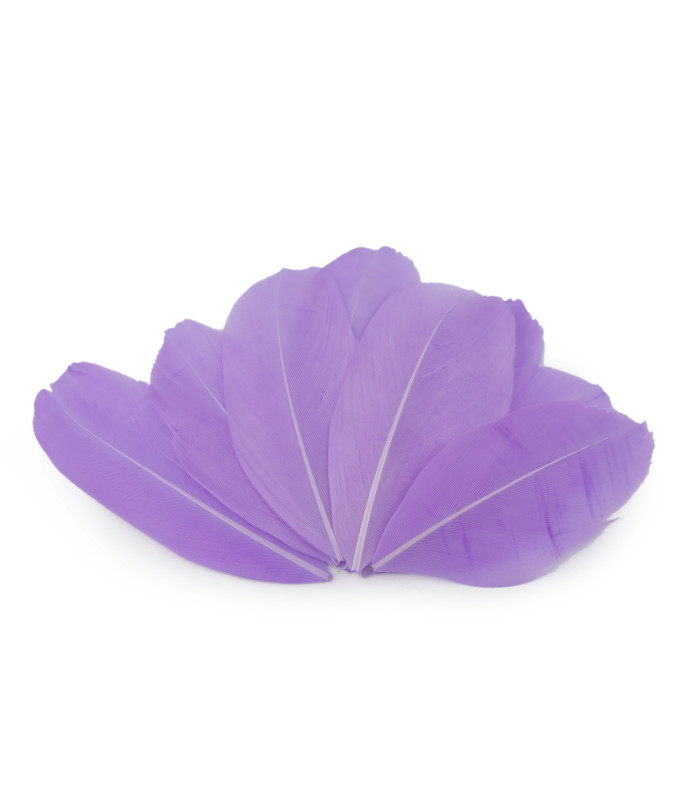 Goose feathers 5,5 - 7 cm x 10 pcs - Goose Feathers - Materials for ...